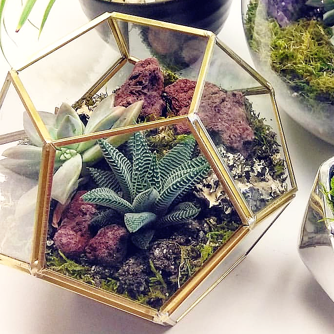 Readymade Gold Geometric Terrarium | Ephemera Terrariums & Plant Shop