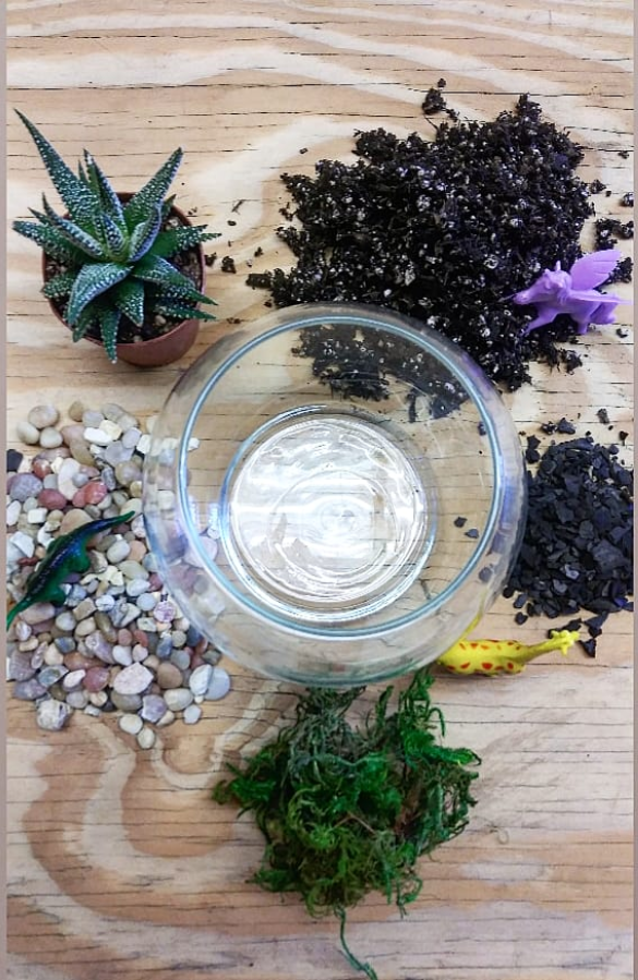 Terrarium Kit - Small Bubble Bowl Terrarium | Ephemera Terrariums ...